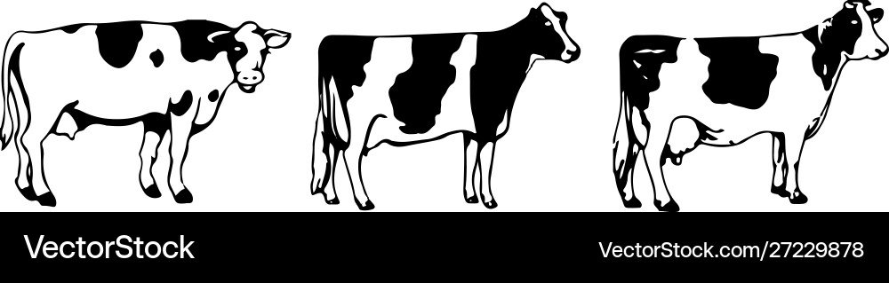 Cow icon on white background Royalty Free Vector Image