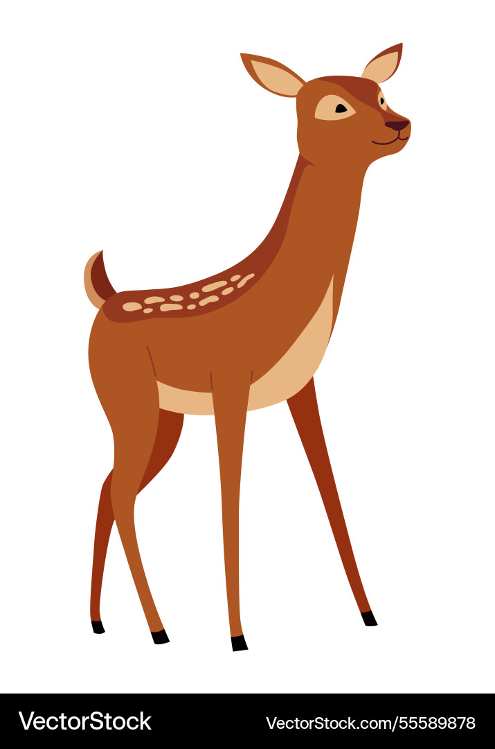 Deer animal icon cute spotted forest wild Vector Image