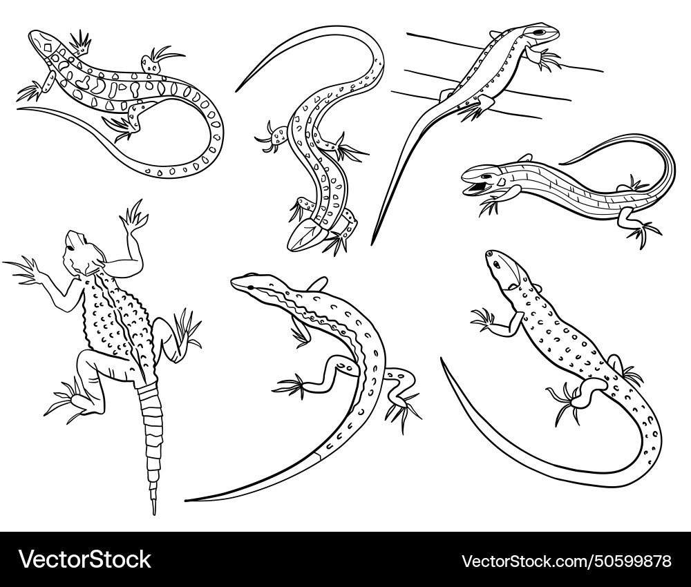 Lizard outline silhouette set Royalty Free Vector Image