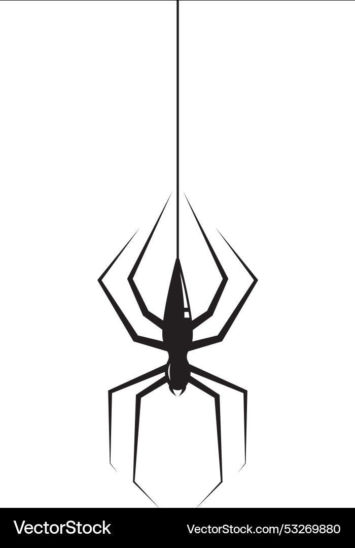 Spider logo Royalty Free Vector Image - VectorStock