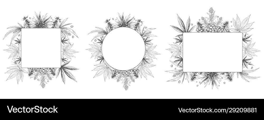 Plant Frame Vector Images (over 210,000)