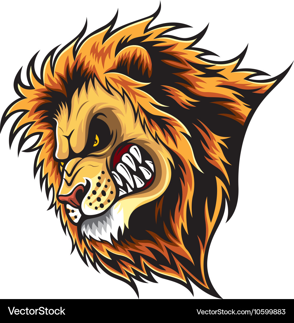 Angry lion head Royalty Free Vector Image - VectorStock