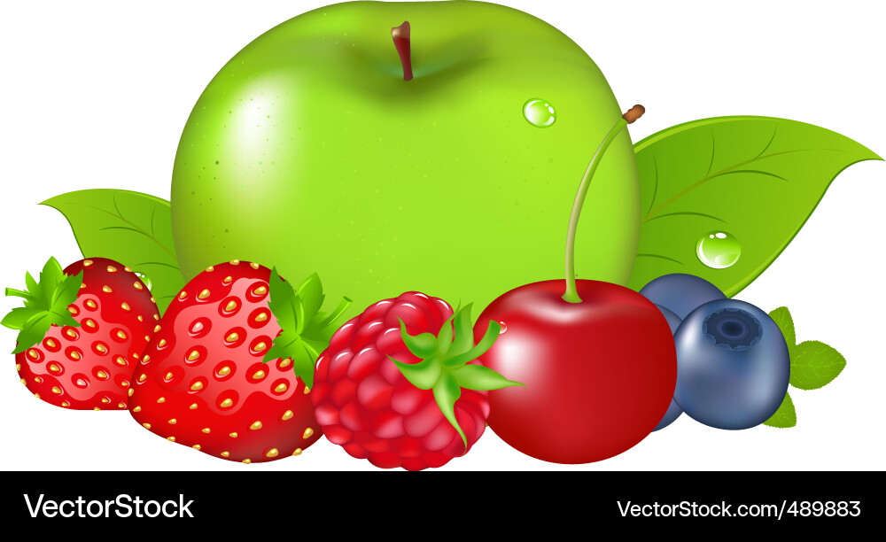 Fruit Royalty Free Vector Image - VectorStock