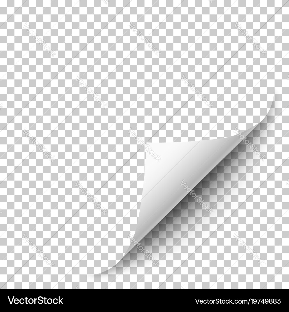 Realistic white page corner Royalty Free Vector Image