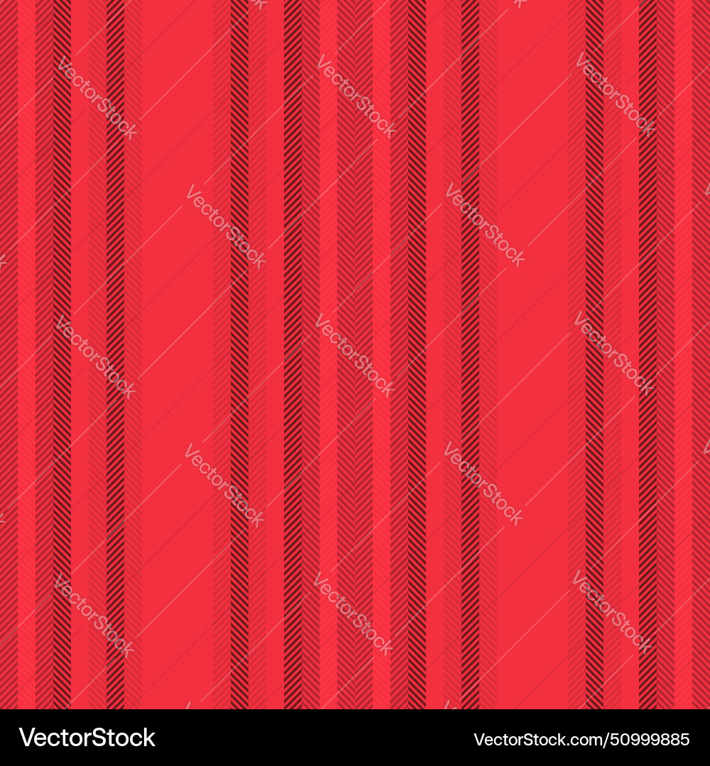 American vertical texture rectangle pattern Vector Image