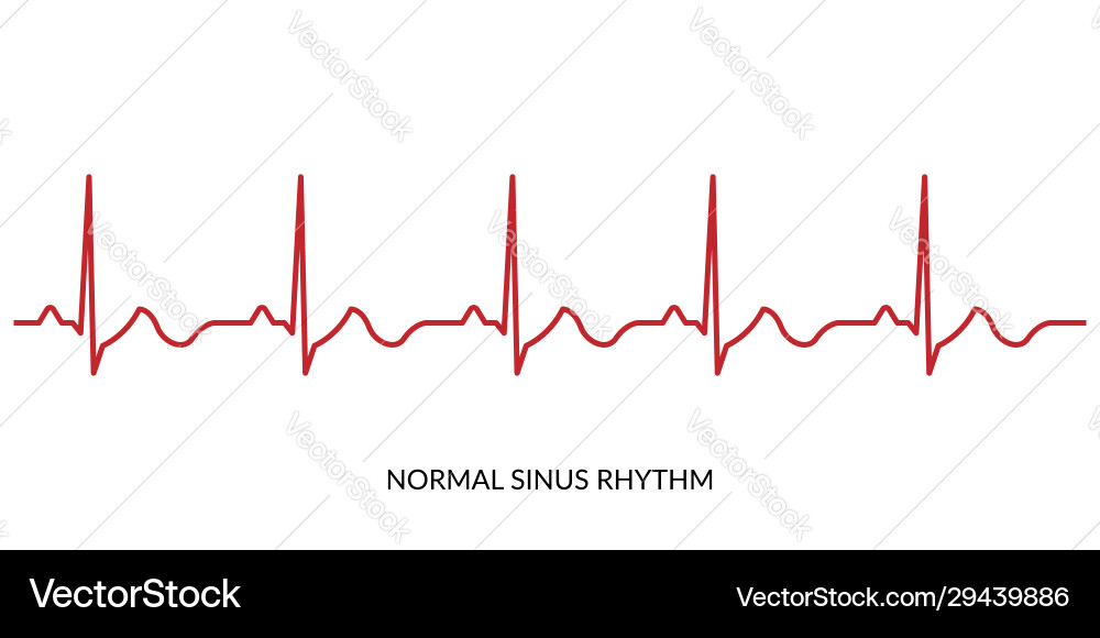 ECG Heartbeat Rhythm Line Royalty Free Vector Image
