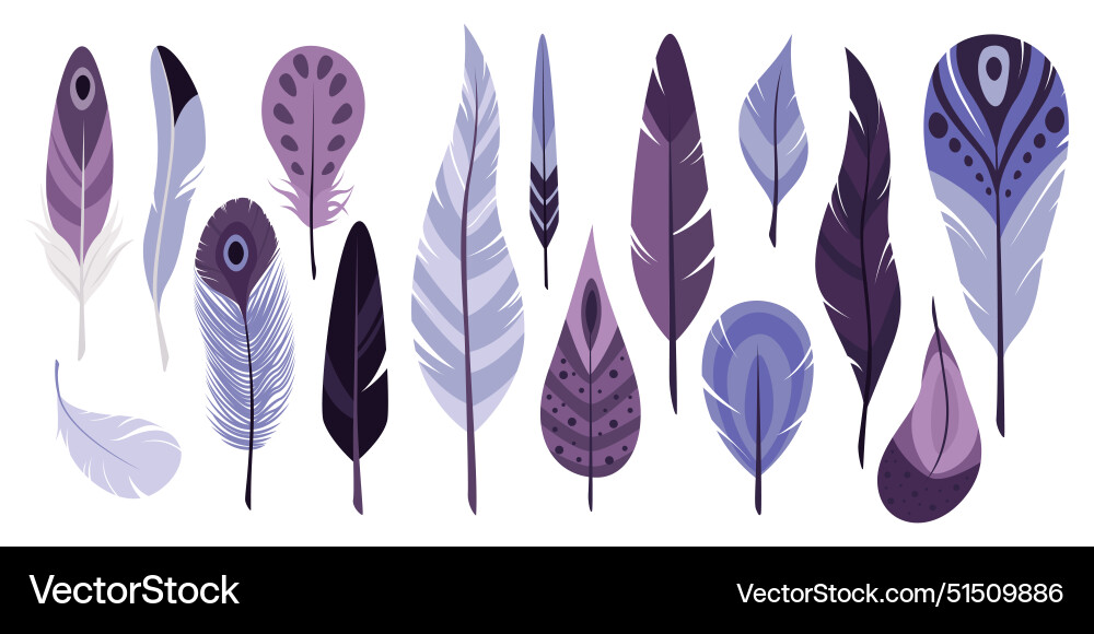 Feather quill purple plumage indian eagle boho Vector Image