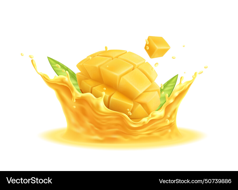 Mango juice splashes Royalty Free Vector Image