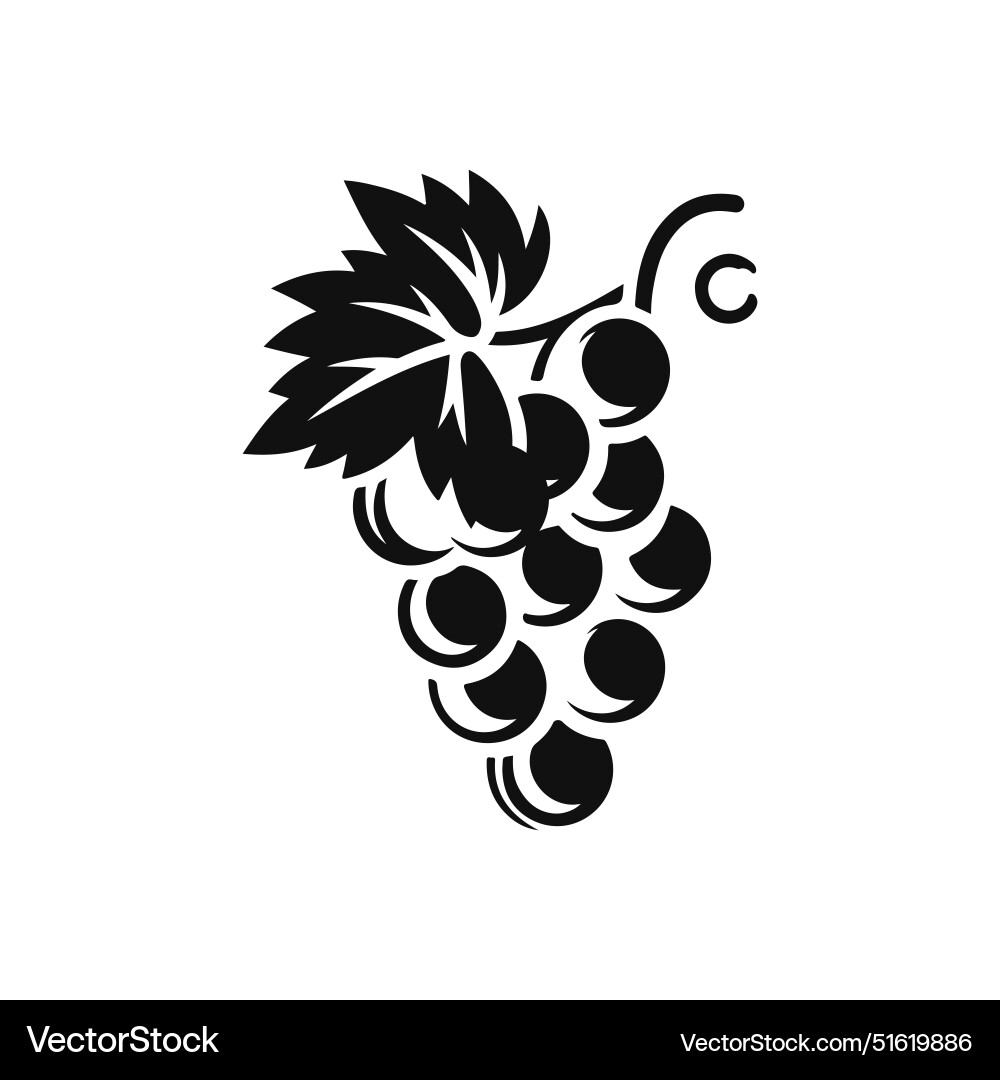 Minimalist grape silhouette in black and white Vector Image