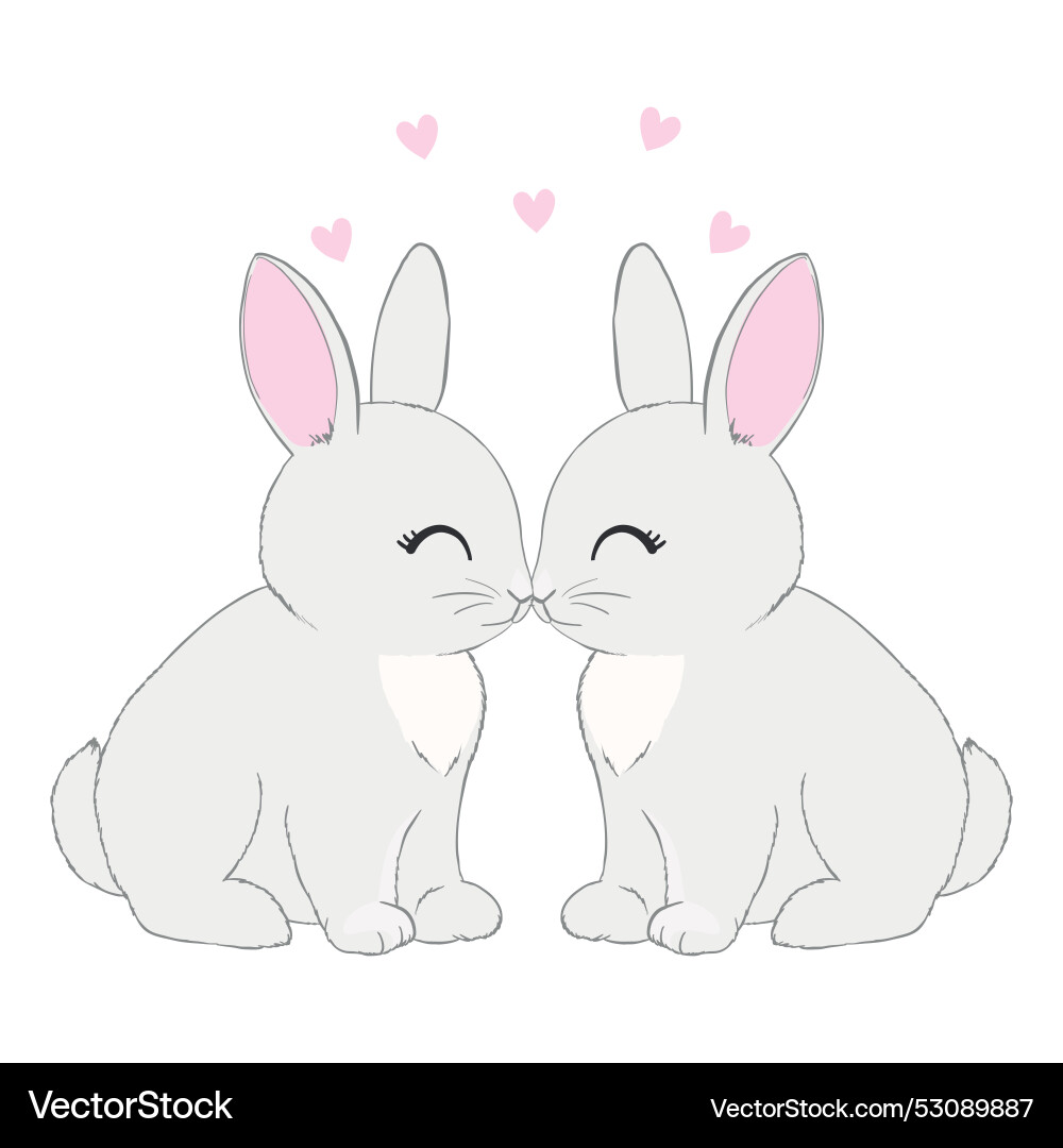 White rabbits and a pink heart two – Royalty-Free Vector | VectorStock