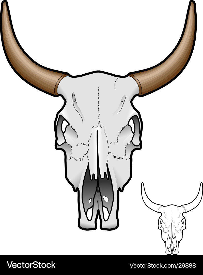 Cow skull Royalty Free Vector Image - VectorStock
