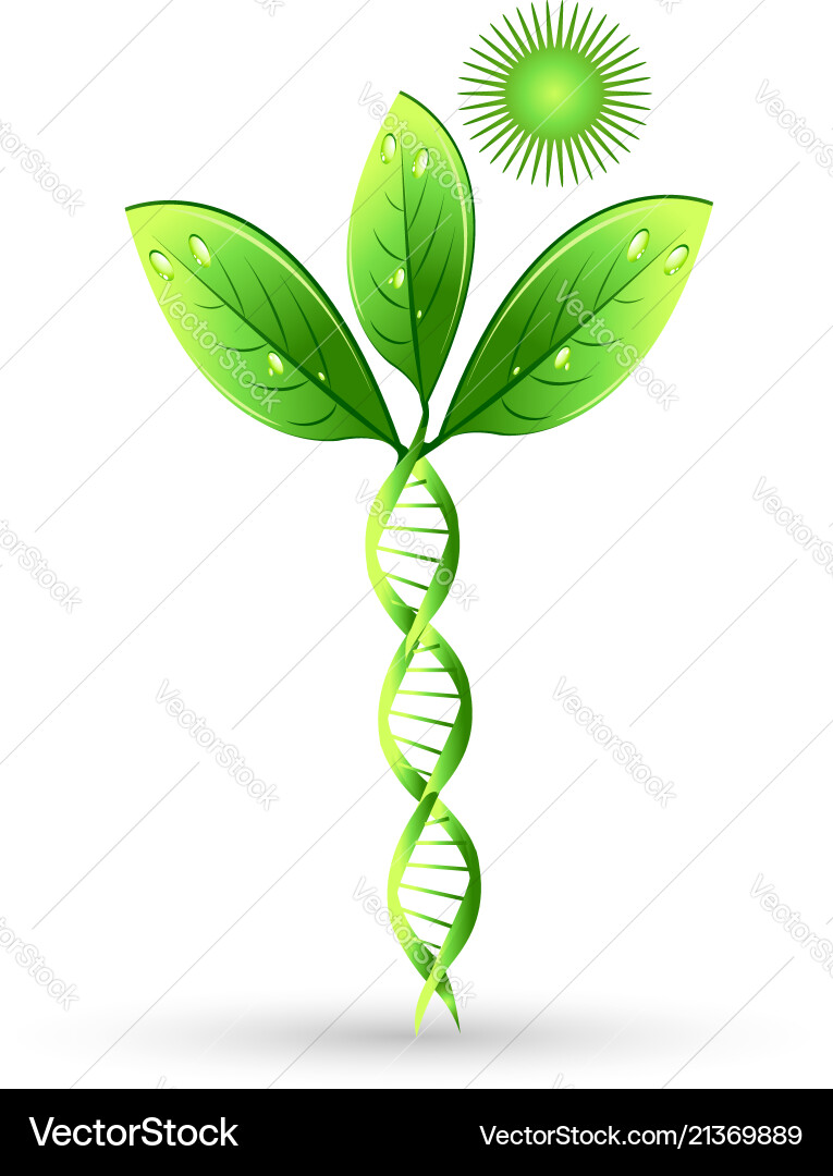 Natural dna plant concept can refer Royalty Free Vector