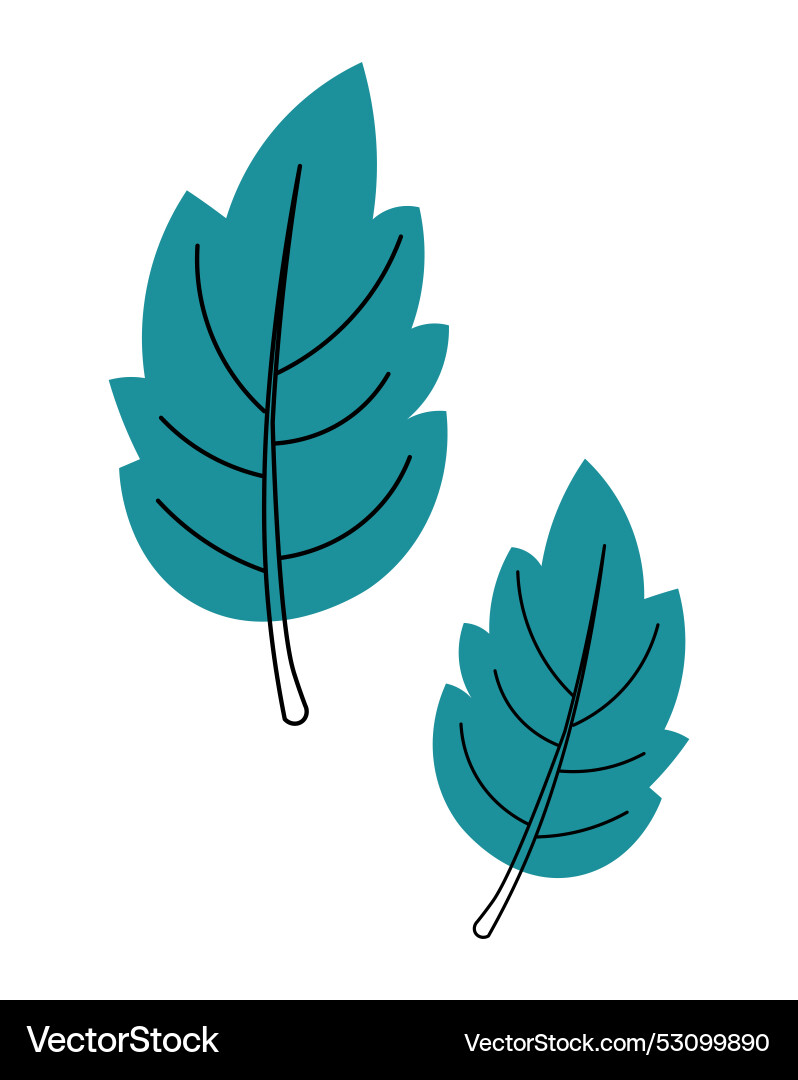 Flat of two green leaves Royalty Free Vector Image