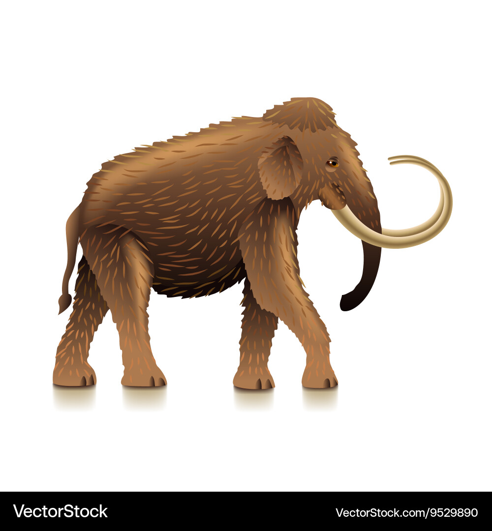 Mammoth isolated on white Royalty Free Vector Image