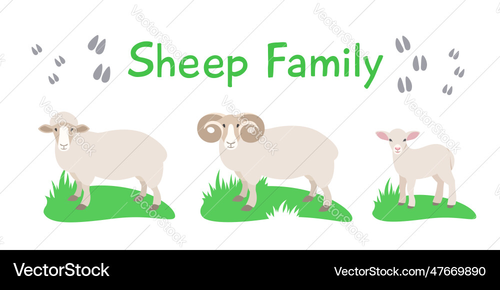 Sheep ram and lamb isolated on white Royalty Free Vector