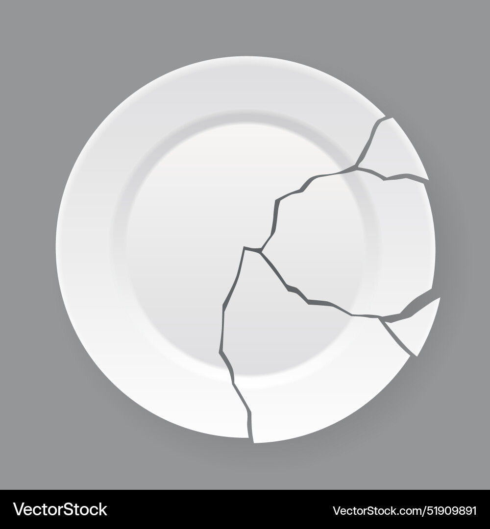 Broken white plate shattered food cracked Vector Image