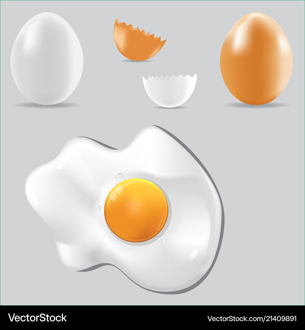 Egg healthy food set Royalty Free Vector Image