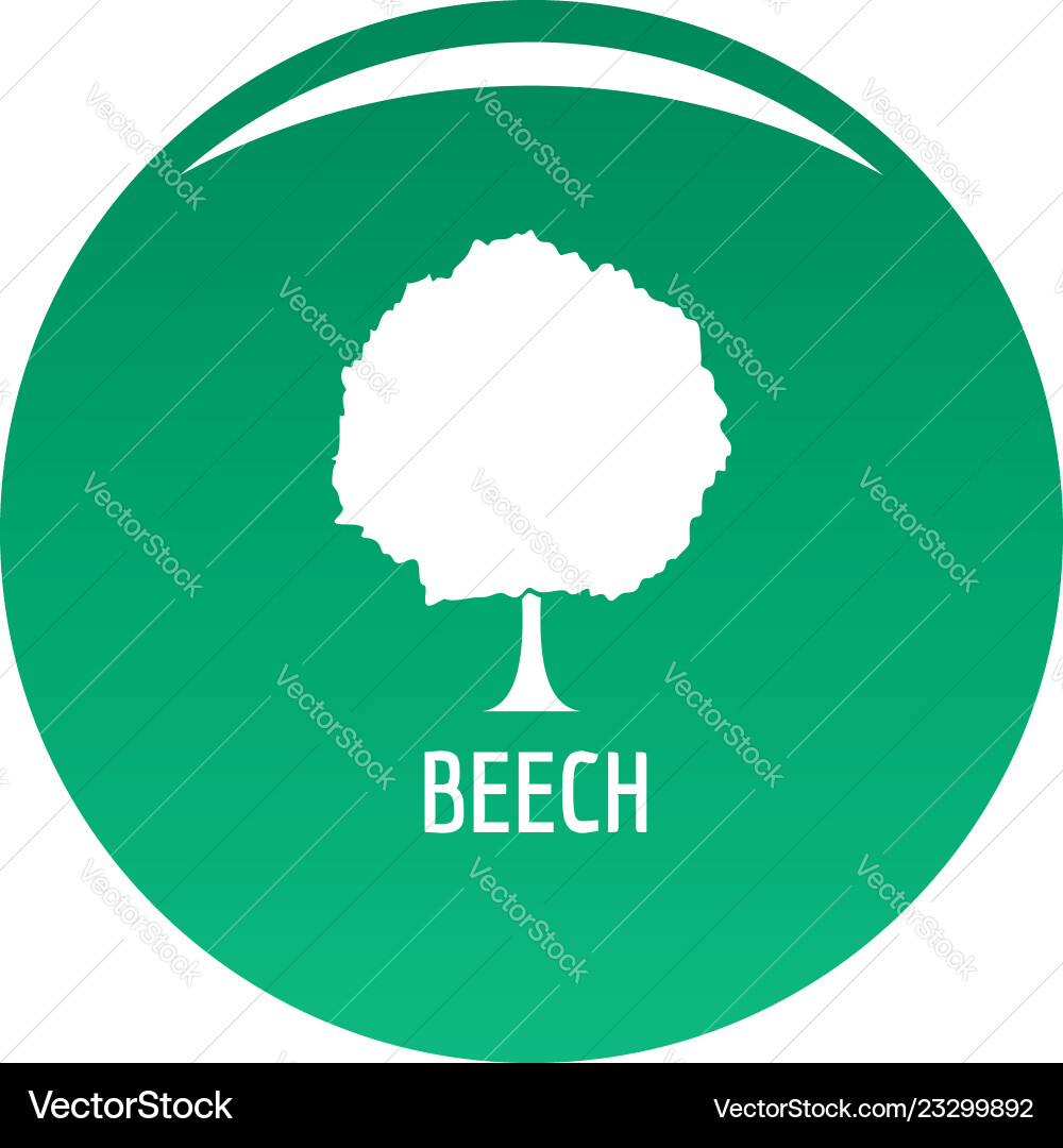 Beech tree icon green Royalty Free Vector Image