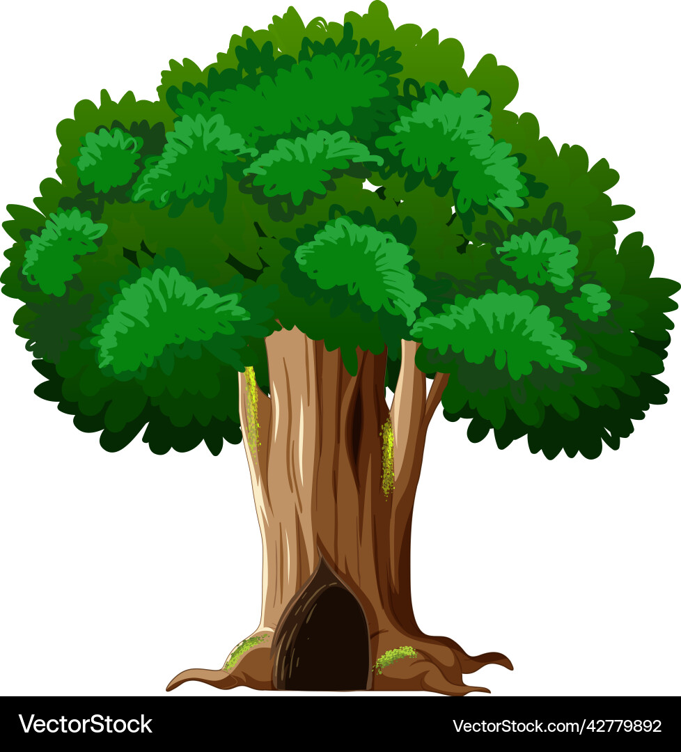 Big tree isolated cartoon Royalty Free Vector Image