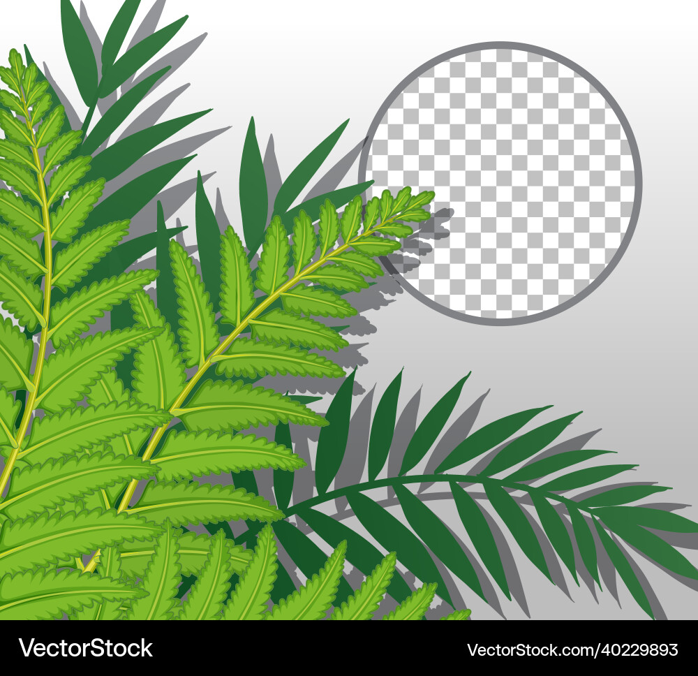 Nature plants frame transparent background Vector Image