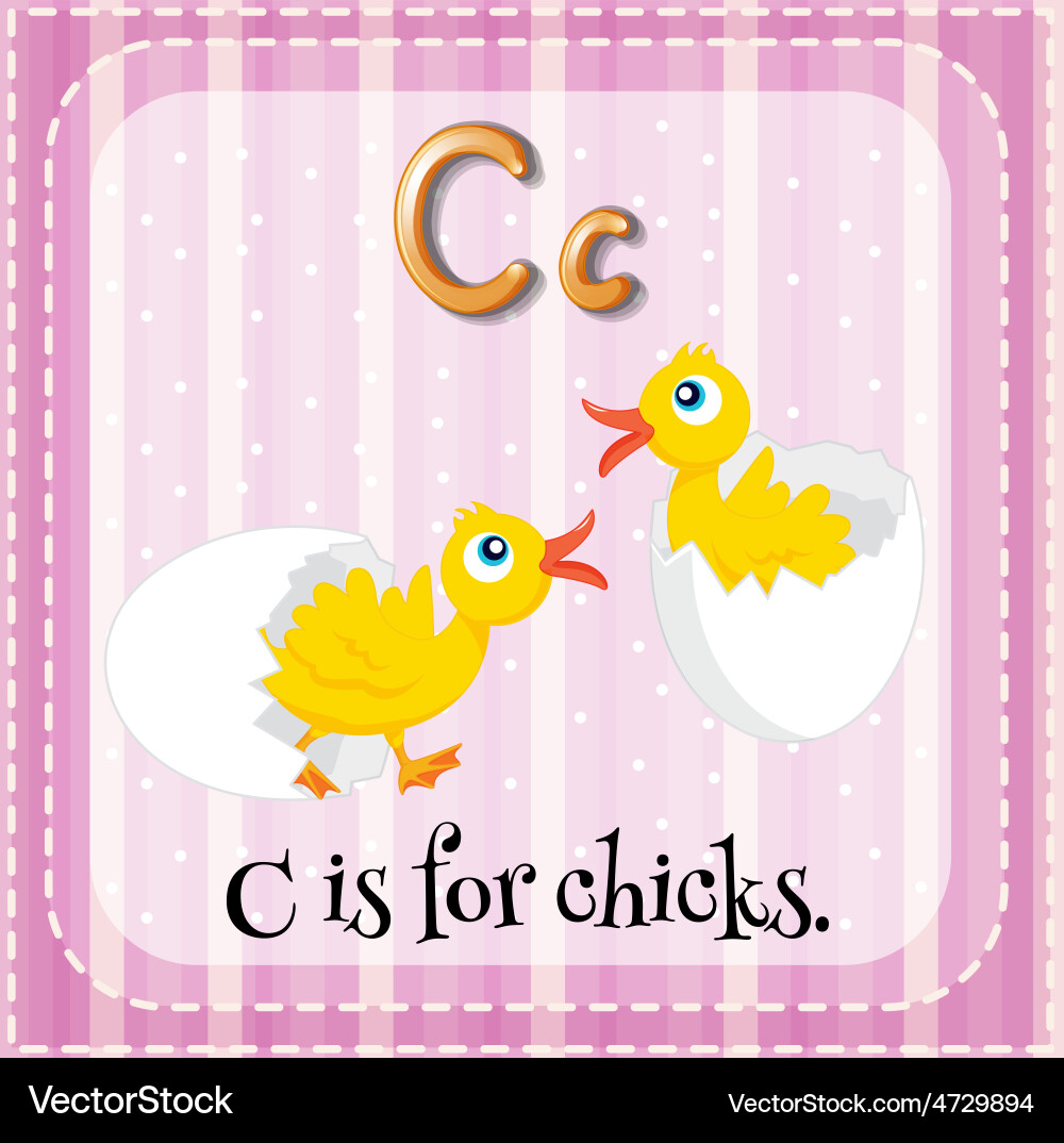 Chicks Royalty Free Vector Image - VectorStock