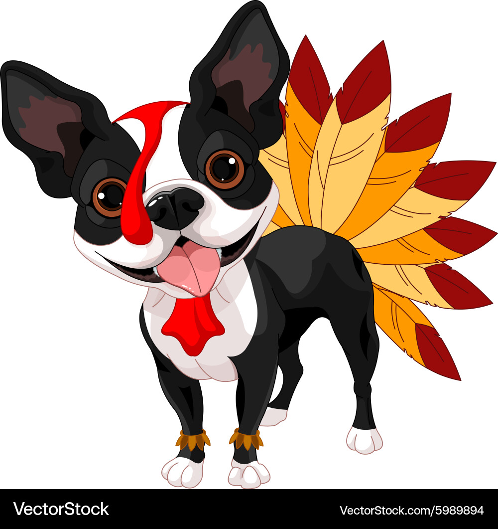 Thanksgiving boston terrier Royalty Free Vector Image
