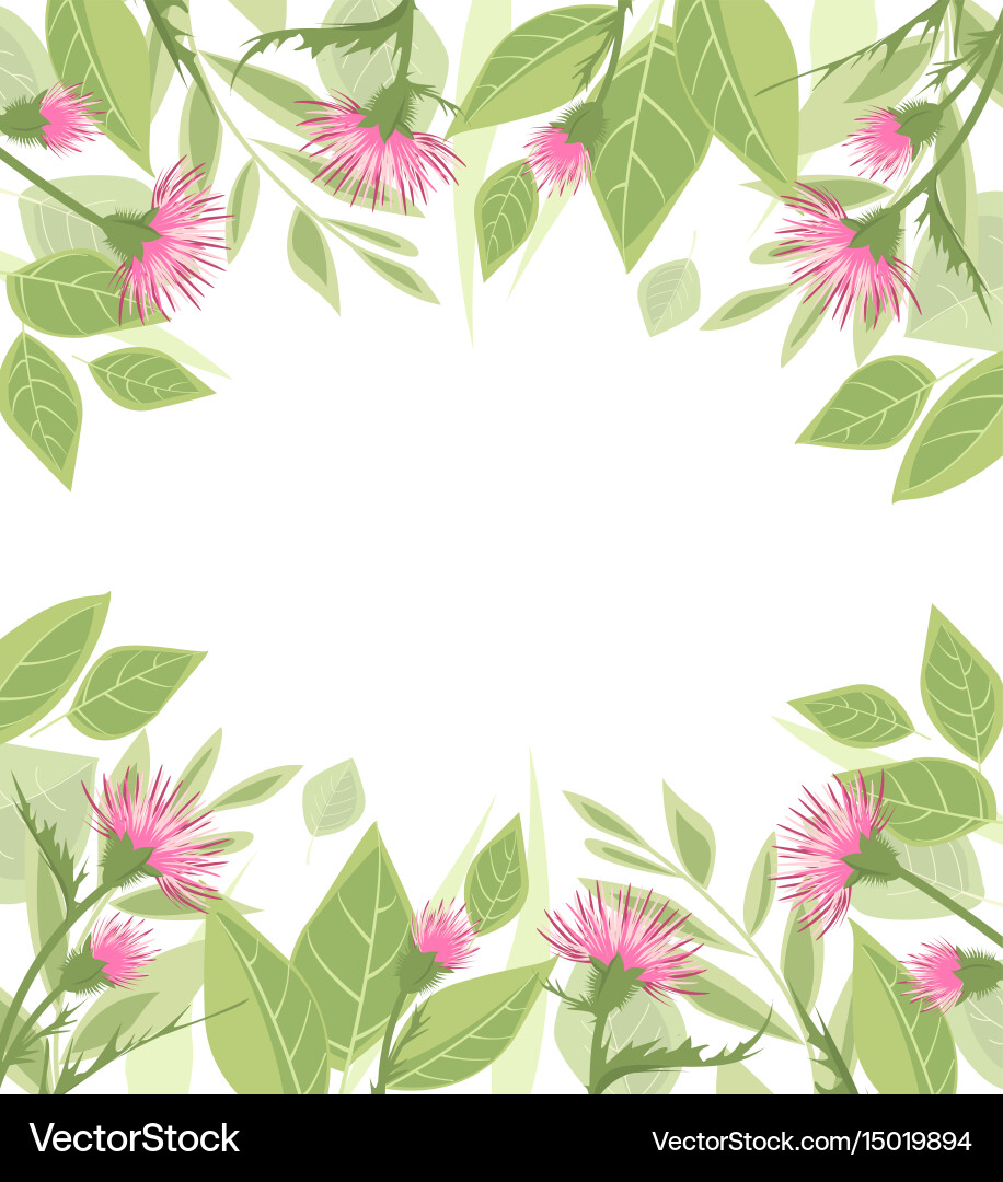 Thistle with green leaves Royalty Free Vector Image