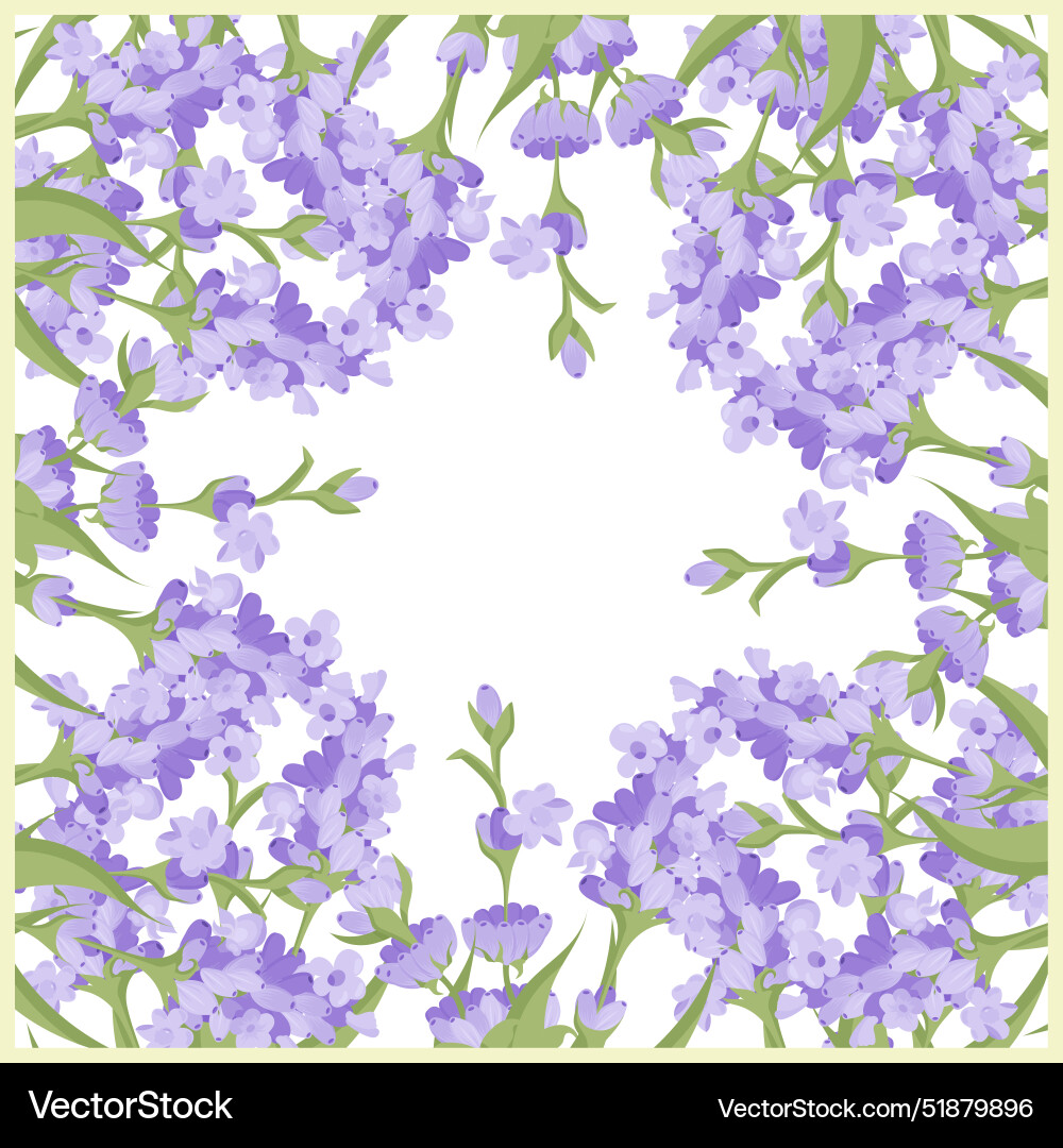 Decorative frame of lavender flowers Royalty Free Vector