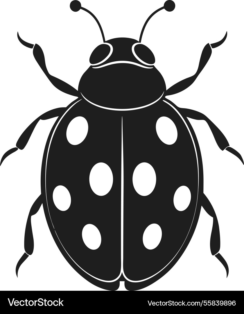 Ladybug silhouette elegant and minimalist insect Vector Image