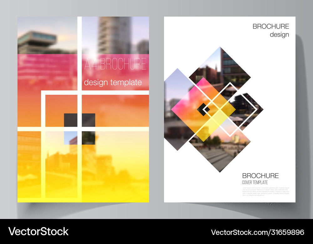 Layout a4 format modern cover Royalty Free Vector Image