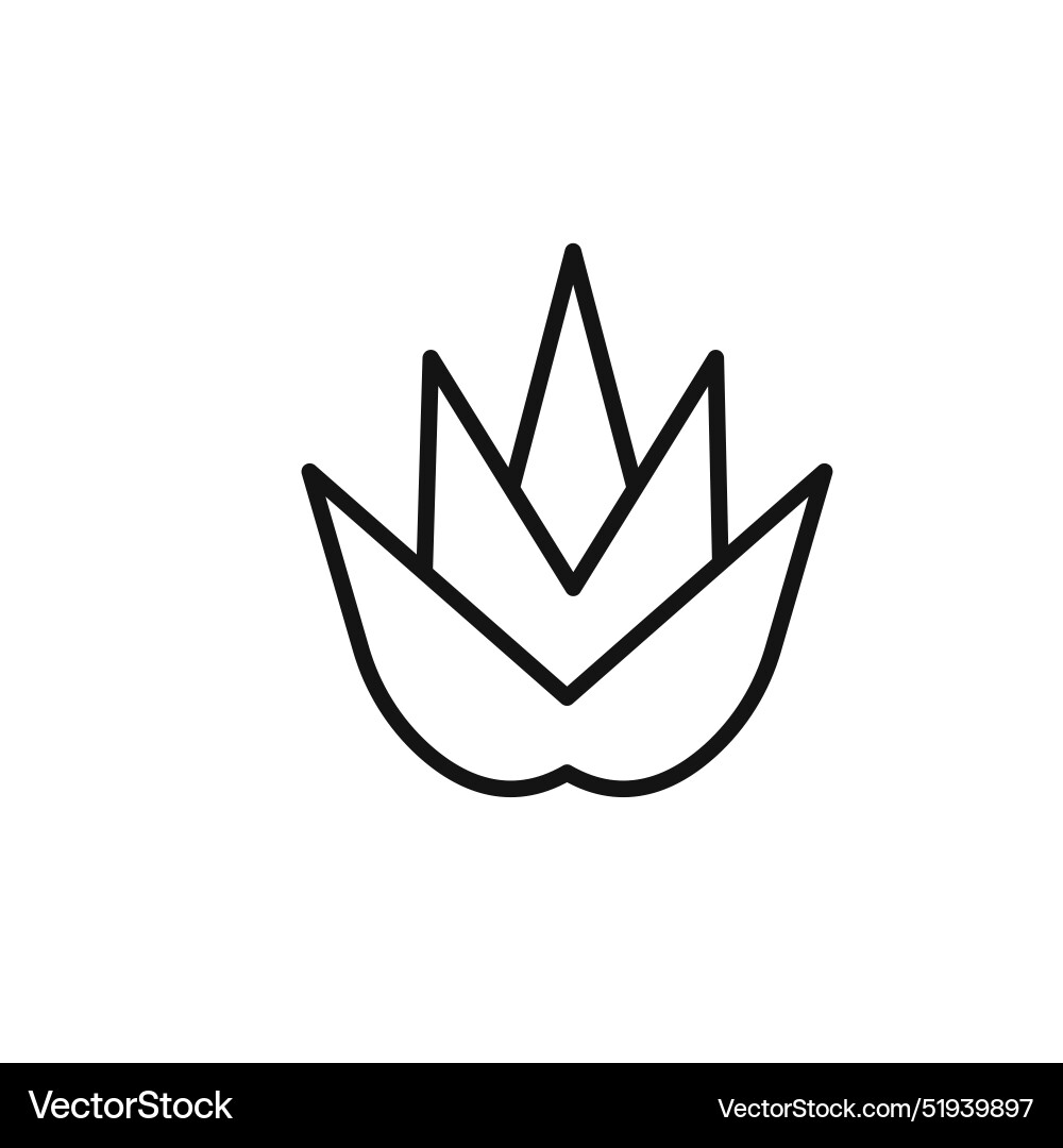 Agave icon logo sign outline Royalty Free Vector Image