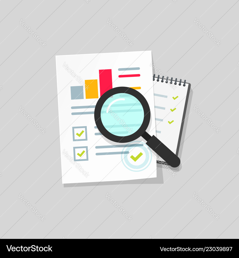 Financial Audit Research Icon Royalty Free Vector Image