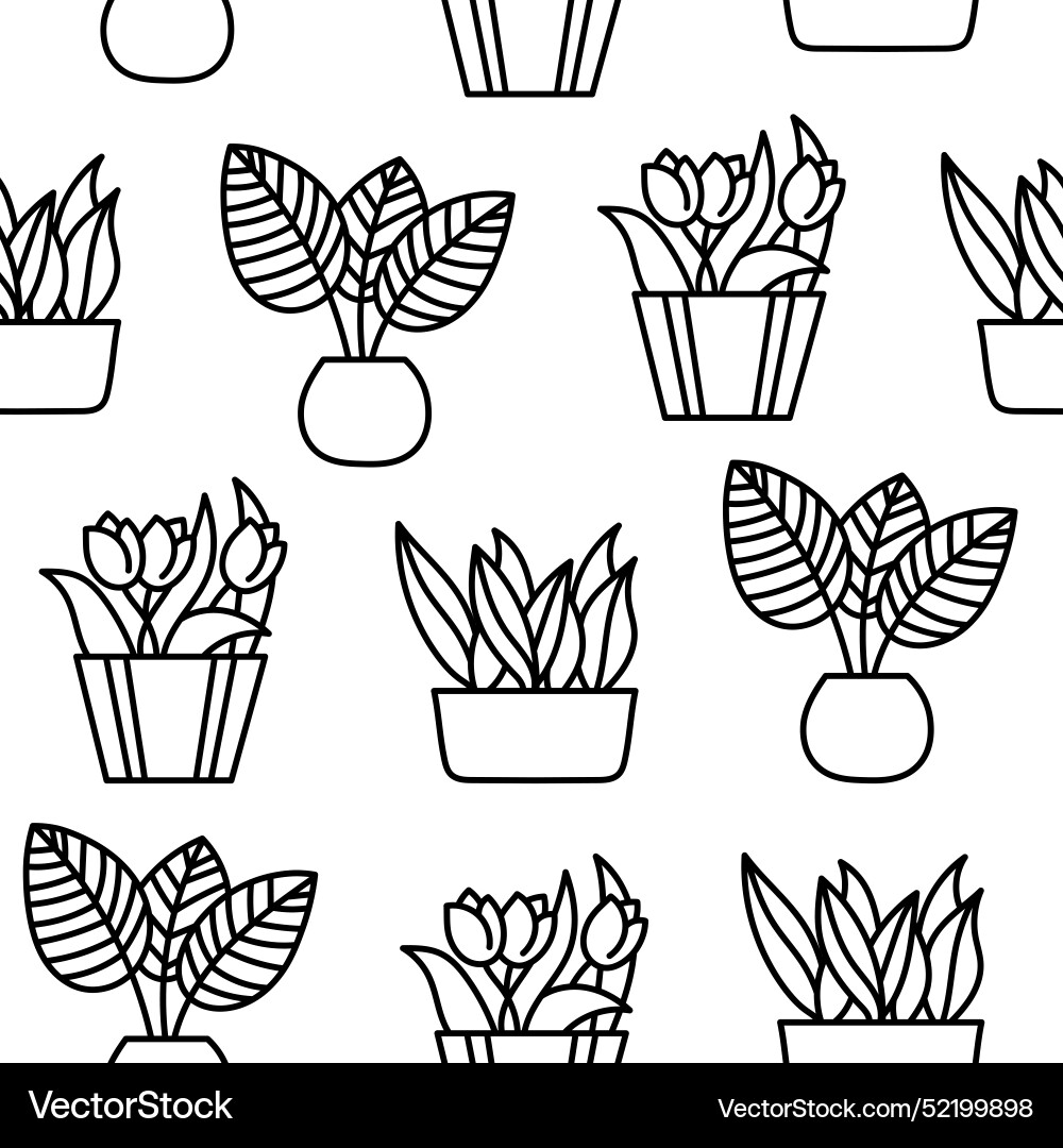 Home plants in pot coloring page Royalty Free Vector Image