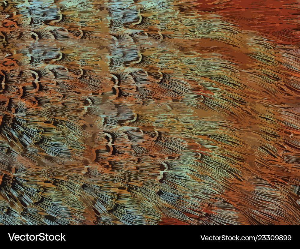 Bird fur animal background and texture good Vector Image