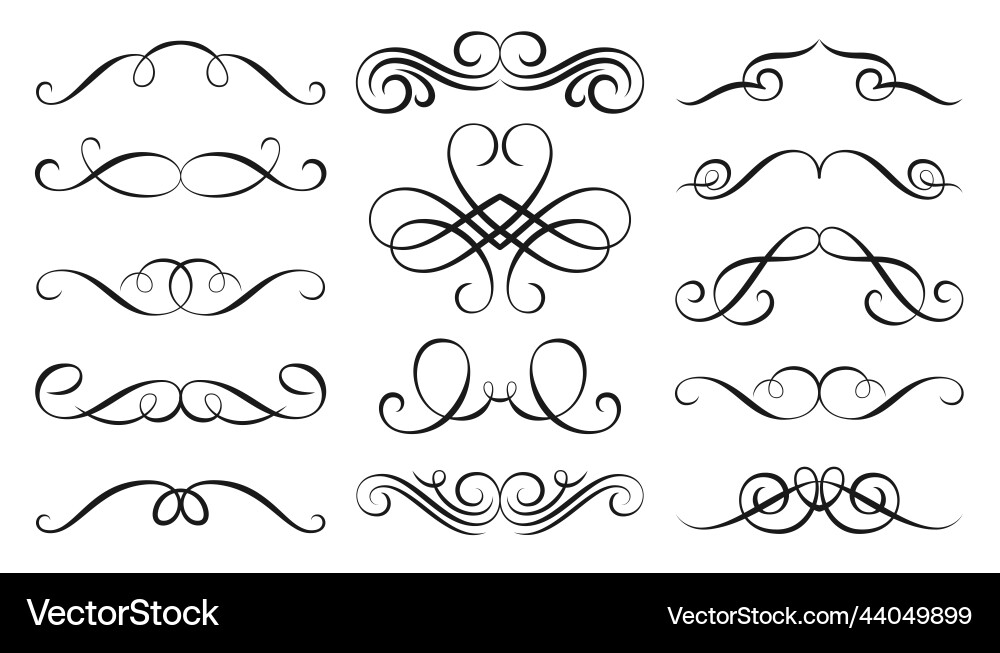 Swirl flourish border text divider line delimiter Vector Image