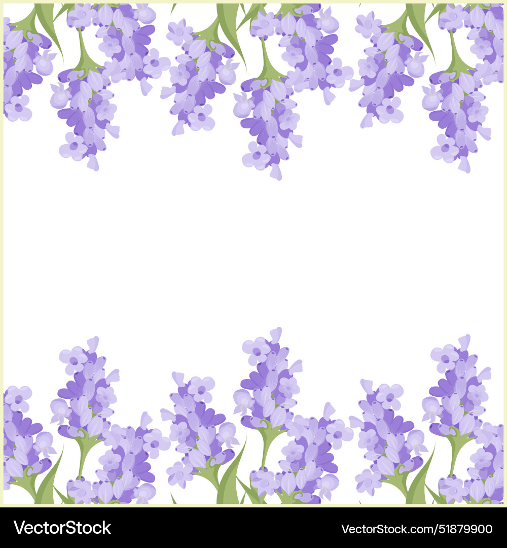 Decorative frame of lavender flowers Royalty Free Vector