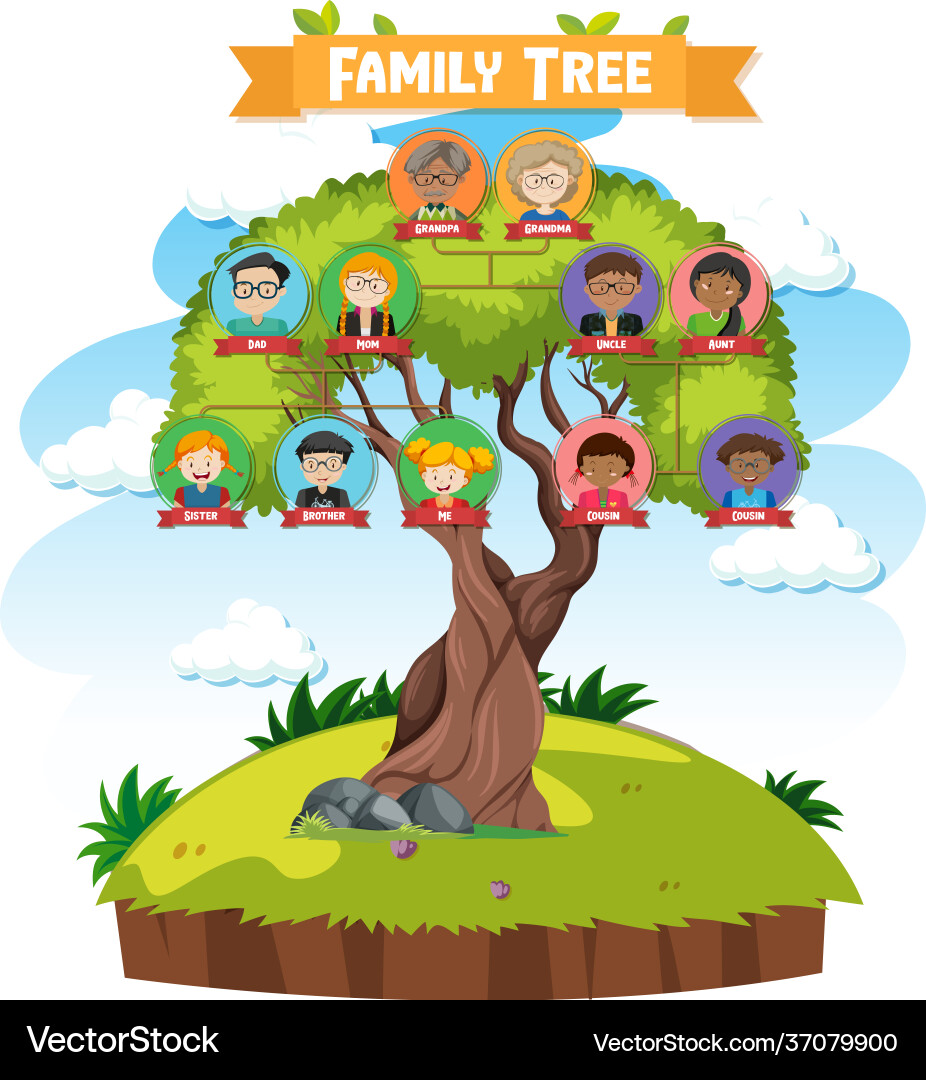 Diagram showing three generation family tree Vector Image