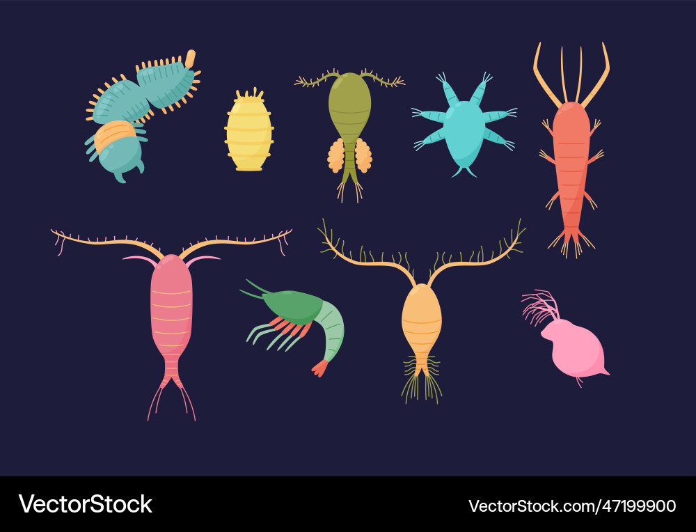 Marine zooplankton crustaceans and organisms set – Royalty-Free Vector ...