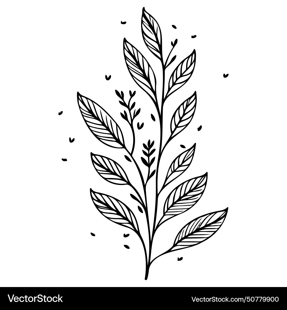Spring grass leaf easter butterfly sketch draw Vector Image