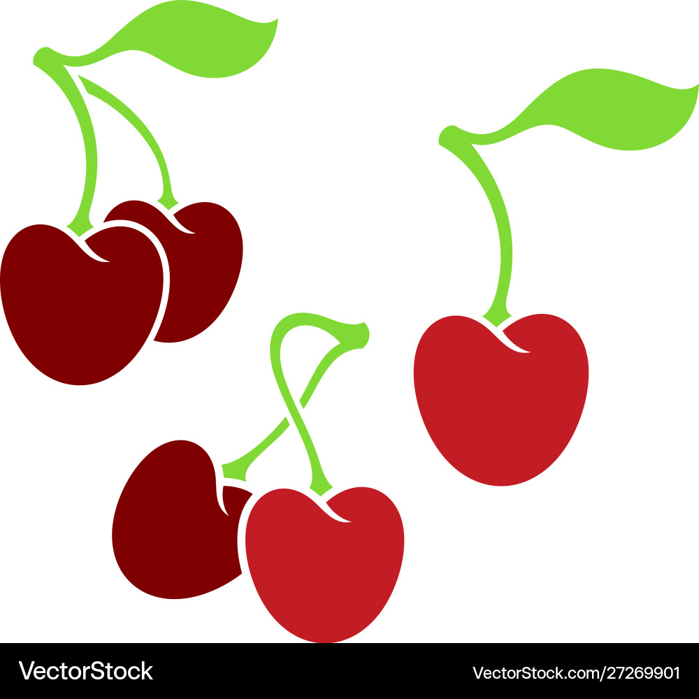 Cherry Royalty Free Vector Image - VectorStock
