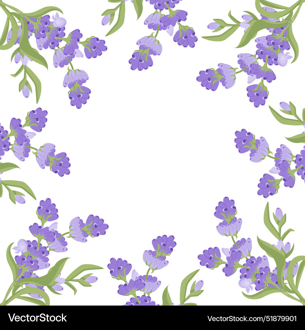 Decorative frame of lavender flowers Royalty Free Vector