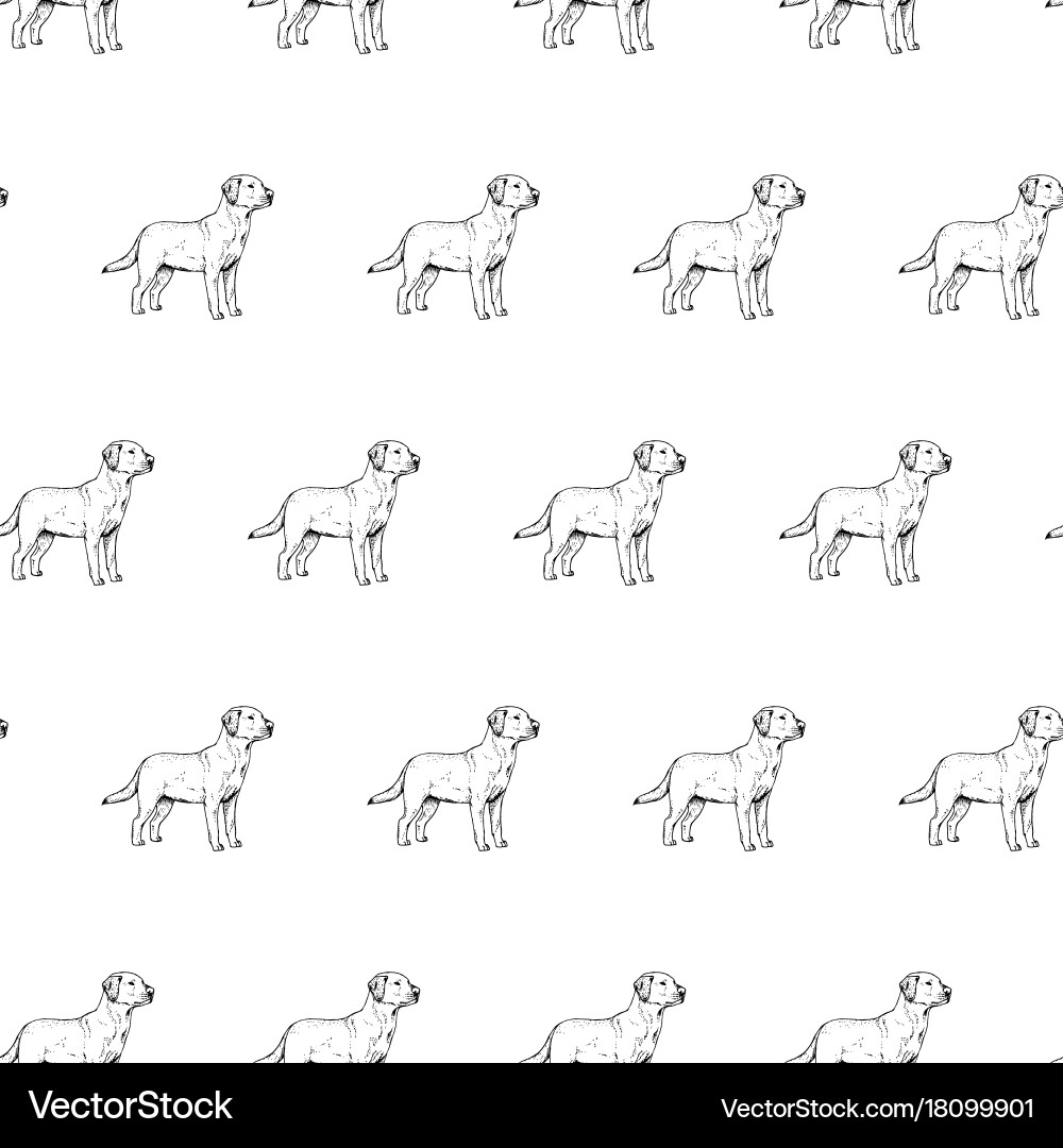 Dog Labrador Seamless Pattern Royalty Free Vector Image