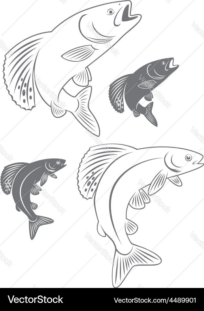 Fish grayling Royalty Free Vector Image - VectorStock