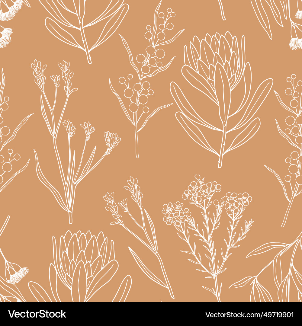 Hand drawn australian flowers and plants seamless Vector Image