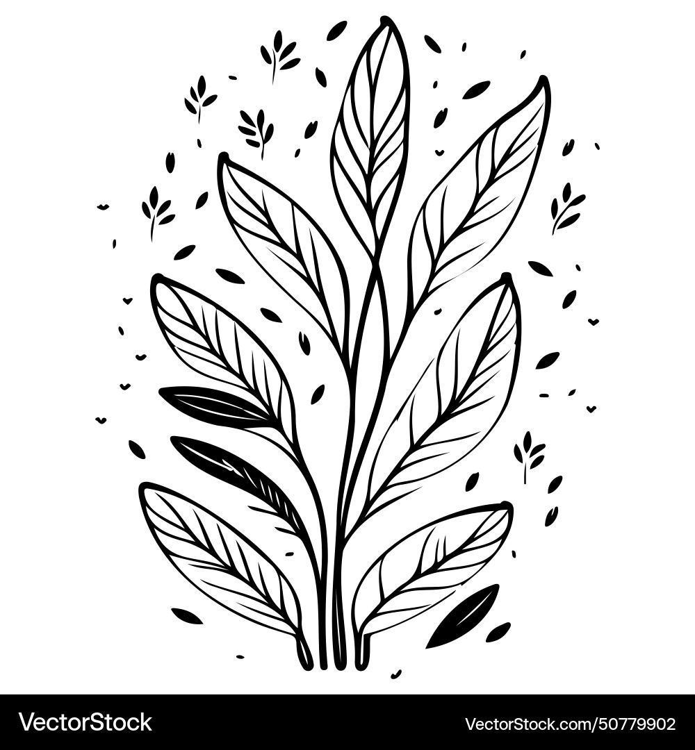 Spring grass leaf easter butterfly sketch draw Vector Image