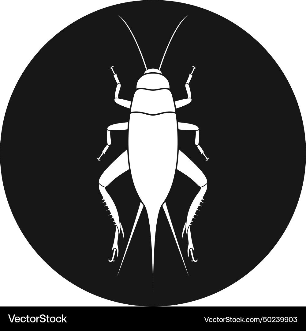 Field cricket Royalty Free Vector Image - VectorStock