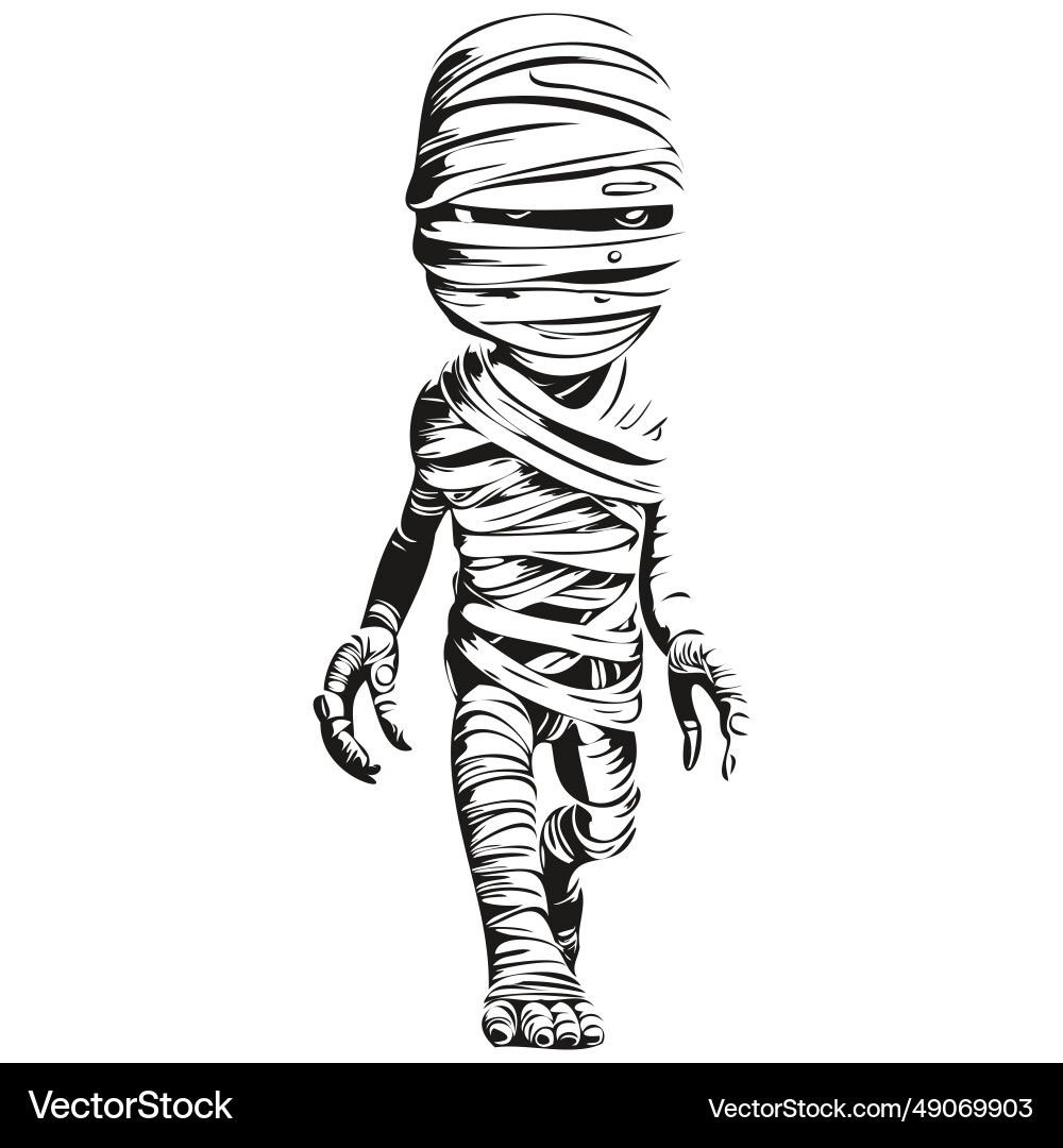Mummy image Royalty Free Vector Image - VectorStock
