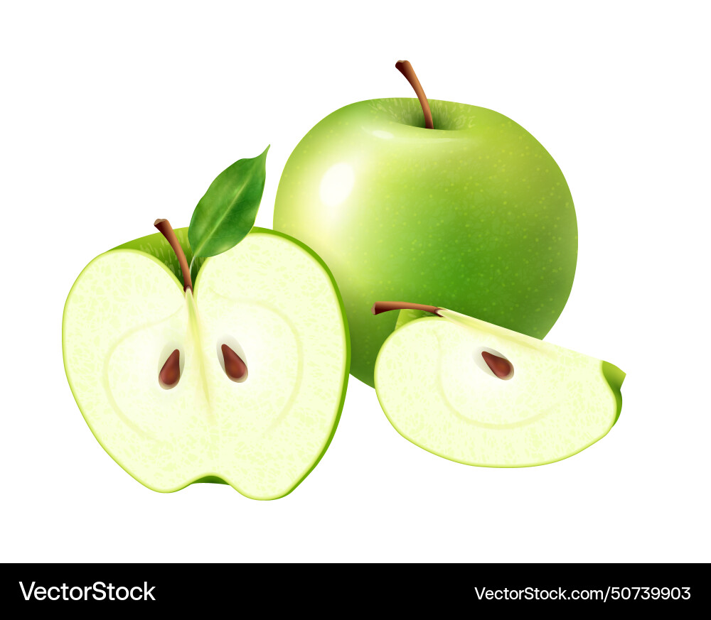 Realistic green apple composition Royalty Free Vector Image