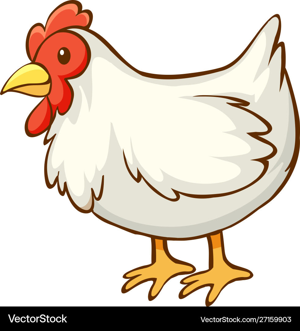 White chicken on background Royalty Free Vector Image