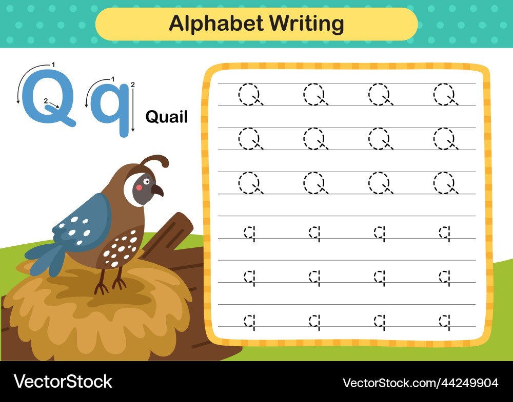 Alphabet letter q - quail exercise with cartoon Vector Image